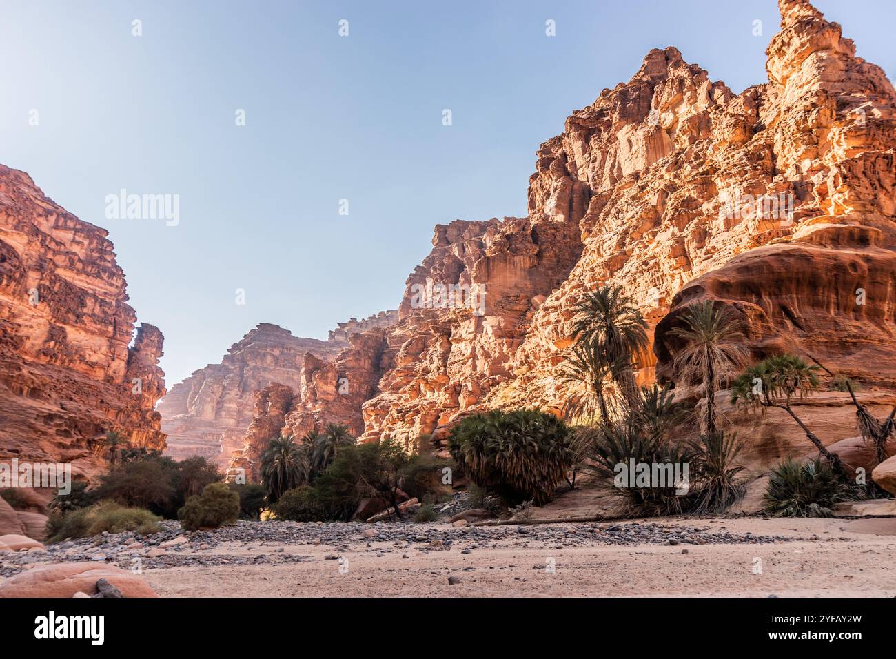 Steep cliffs of Wadi Disah canyon, Saudi Arabia Stock Photo - Alamy