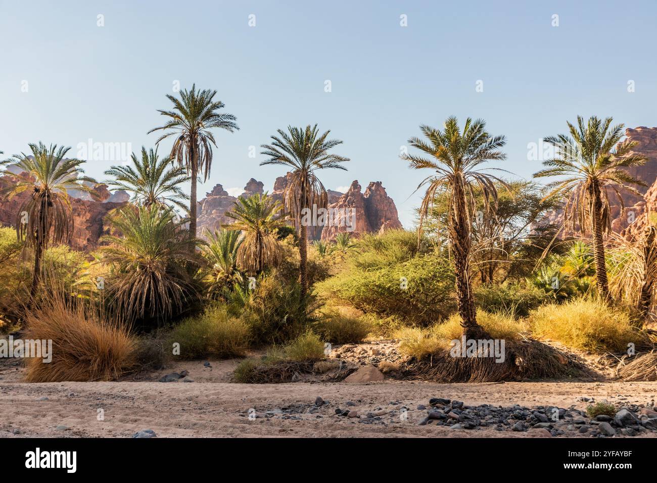 Wadi al disah in the tabuk region hi-res stock photography and images ...