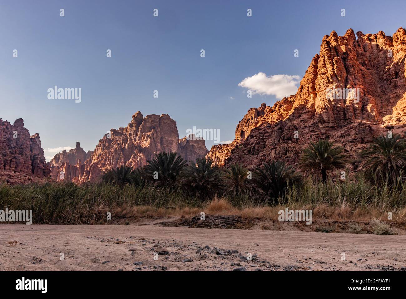 Cliffs of Wadi Disah canyon, Saudi Arabia Stock Photo - Alamy