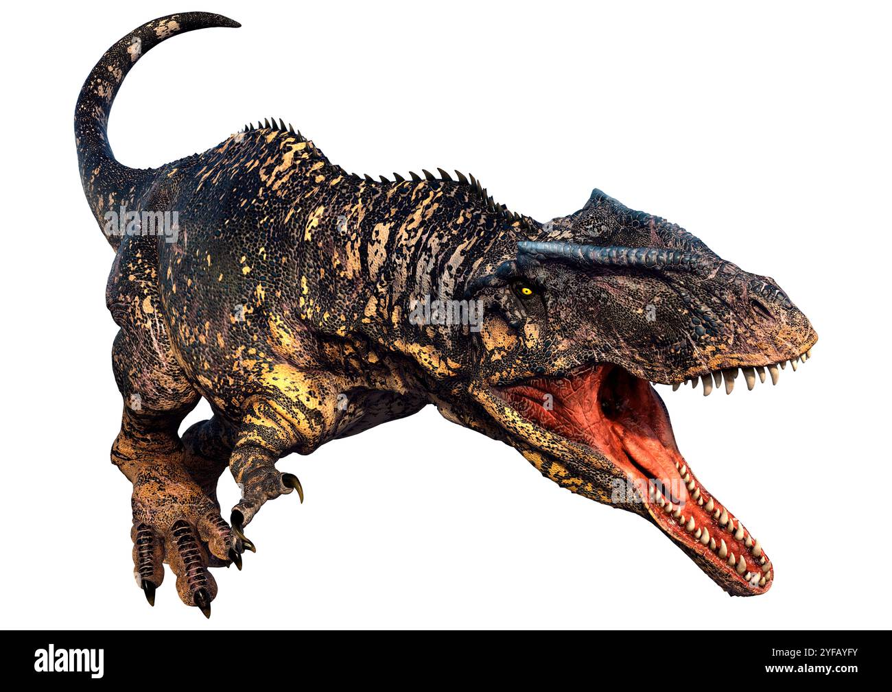 3D rendering of a dinosaur gigantosaurus isolated on white background Stock Photo - Alamy