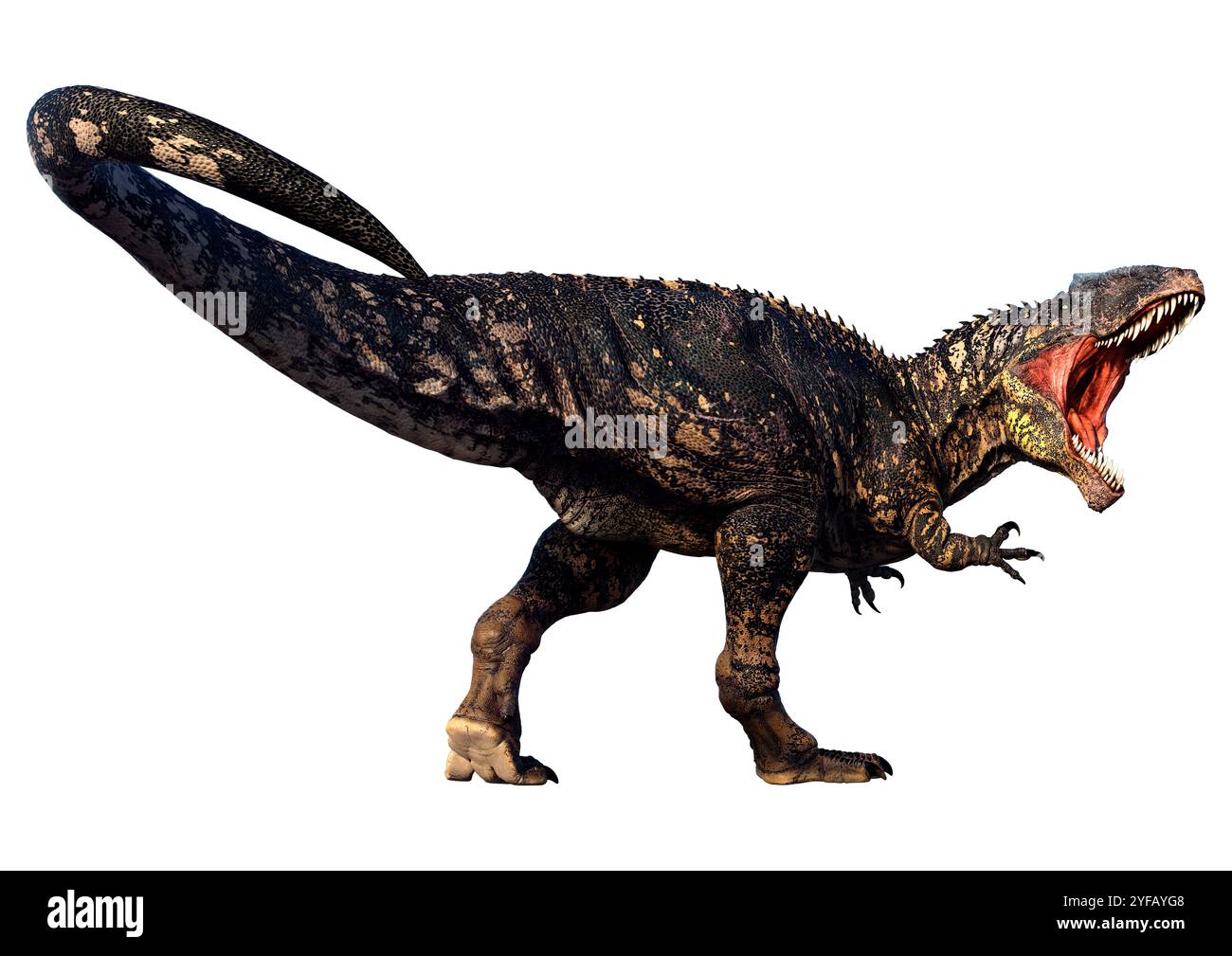 3D rendering of a dinosaur gigantosaurus isolated on white background Stock Photo - Alamy
