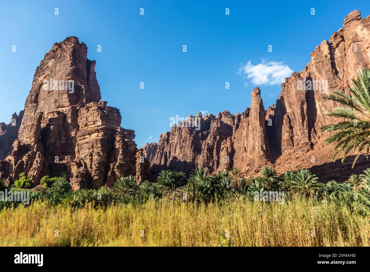 Cliffs of Wadi Disah canyon, Saudi Arabia Stock Photo - Alamy