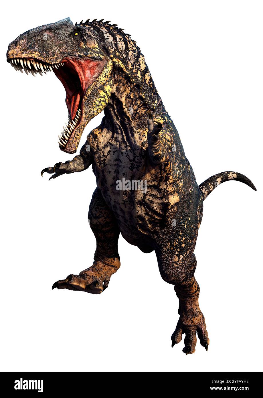 3D rendering of a dinosaur gigantosaurus isolated on white background Stock Photo - Alamy