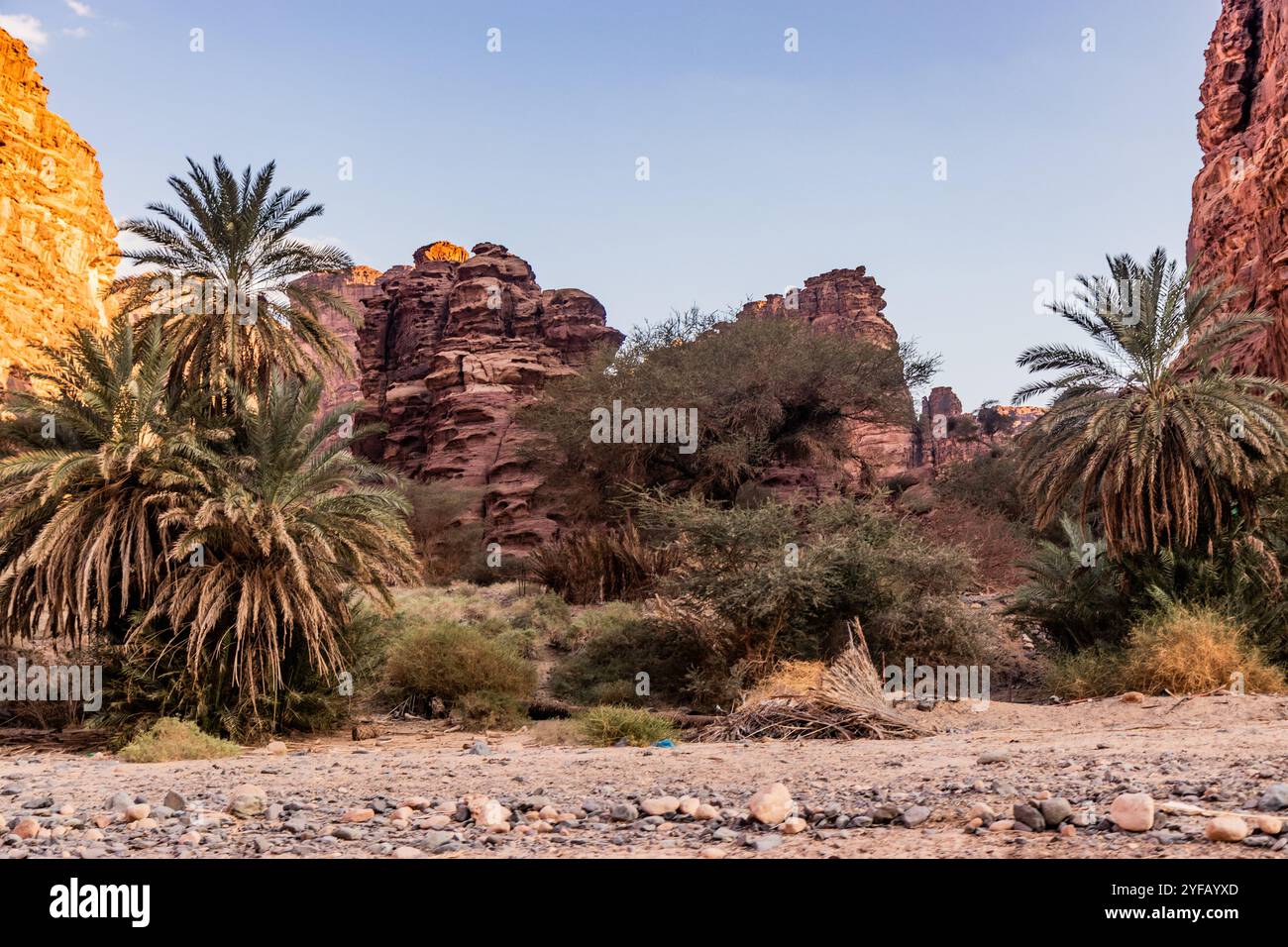 View of Wadi Disah canyon, Saudi Arabia Stock Photo - Alamy