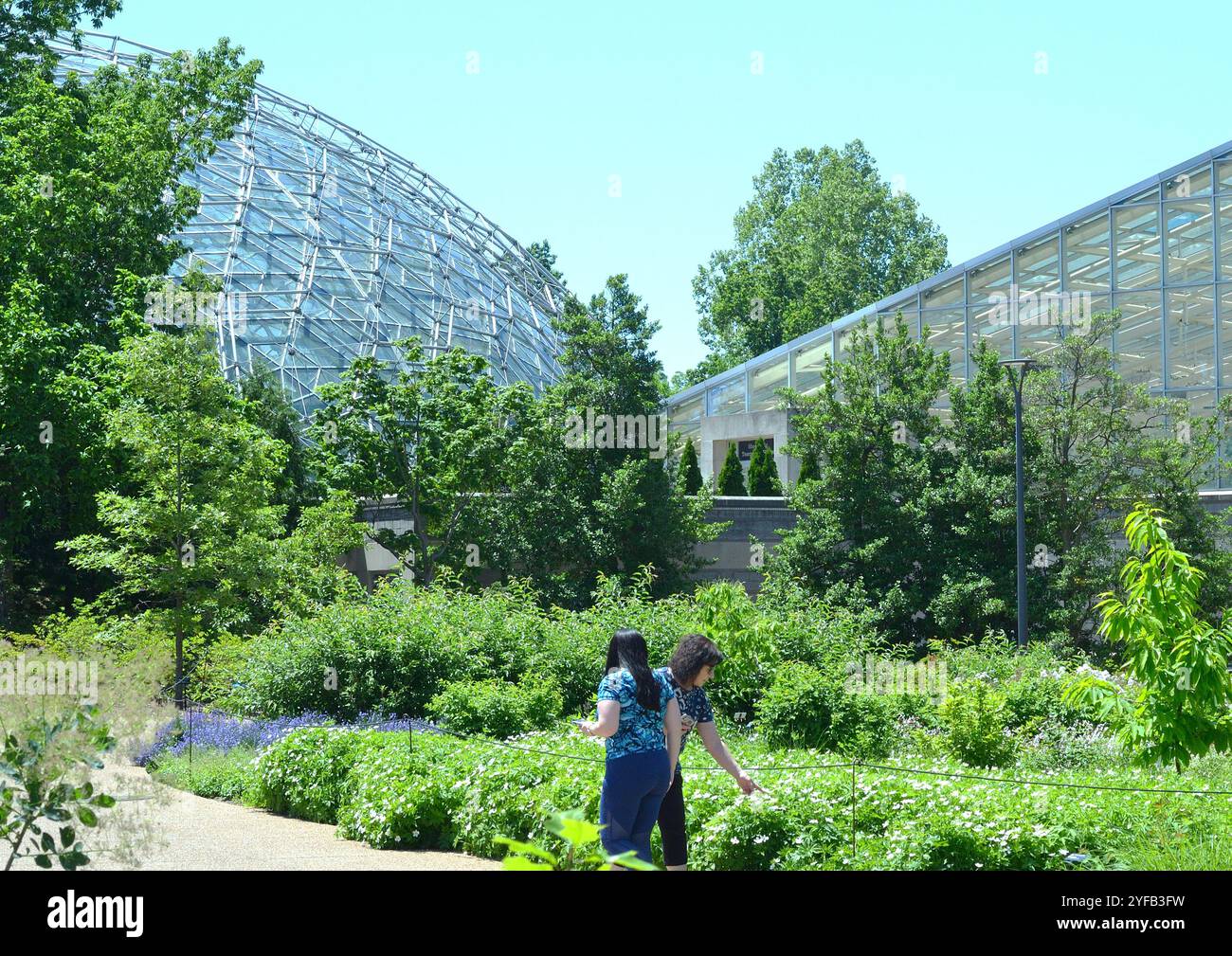 Botanical garden, st. louis hi-res stock photography and images - Alamy