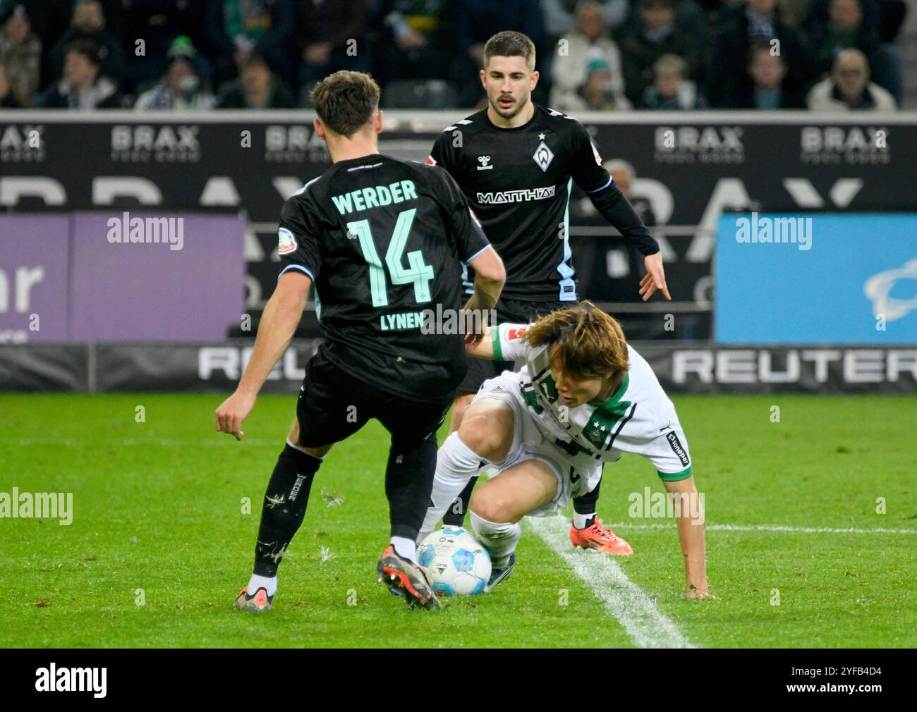 Senne lynen bremen 2025 hi-res stock photography and images - Alamy