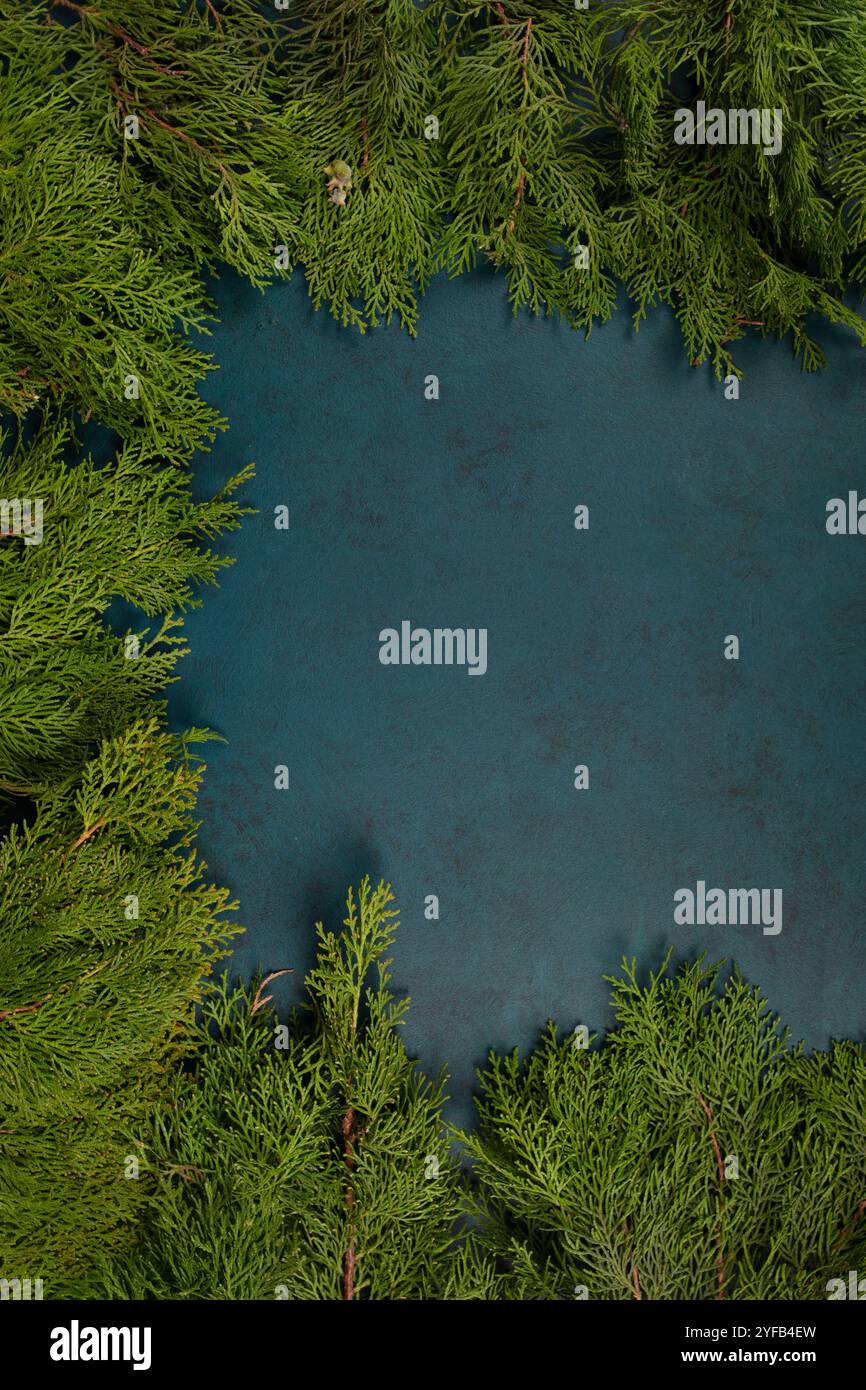 Rustic vector designs hi-res stock photography and images - Alamy