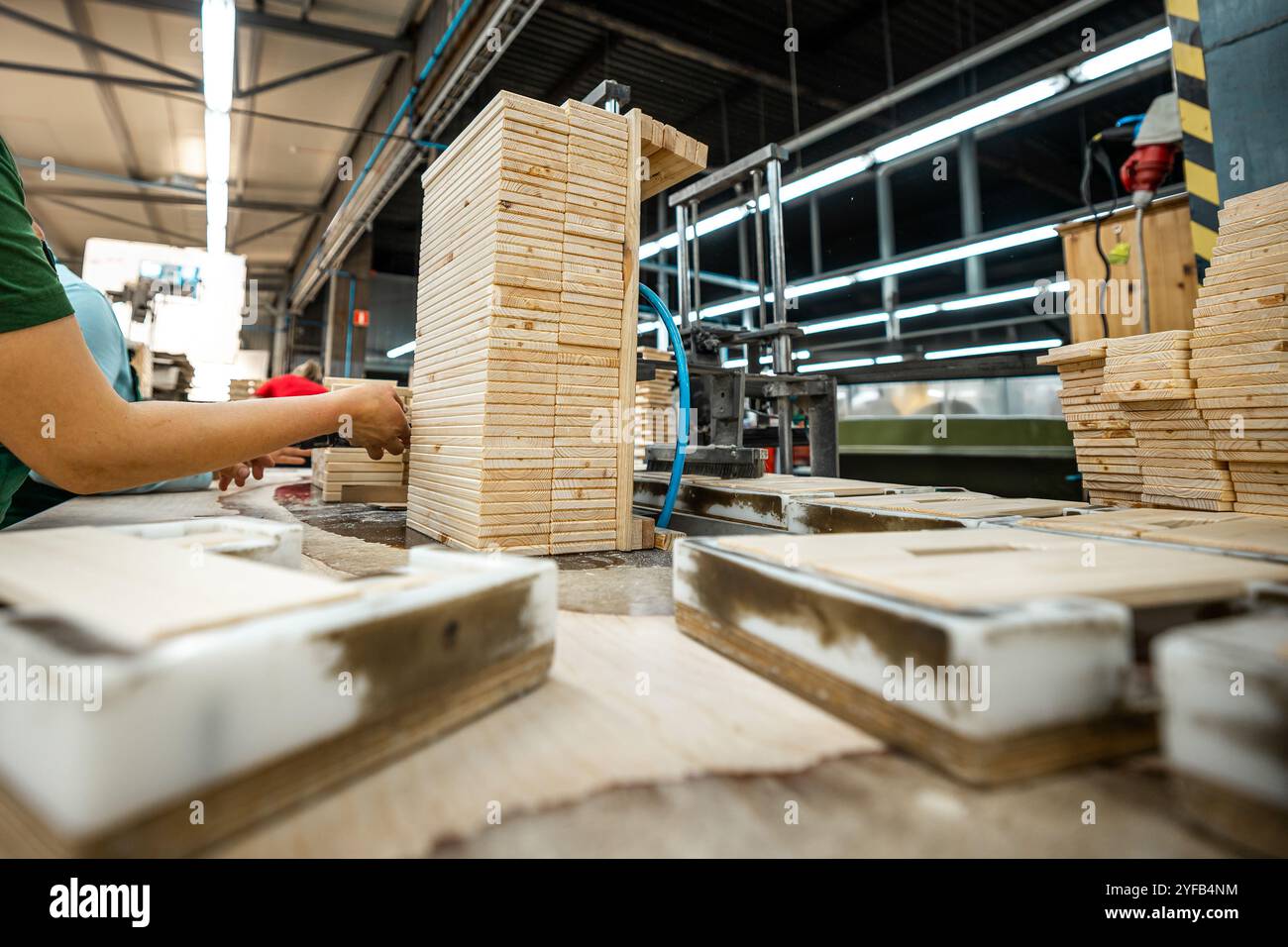 Worker handling stacks of wooden planks in a woodworking factory ...