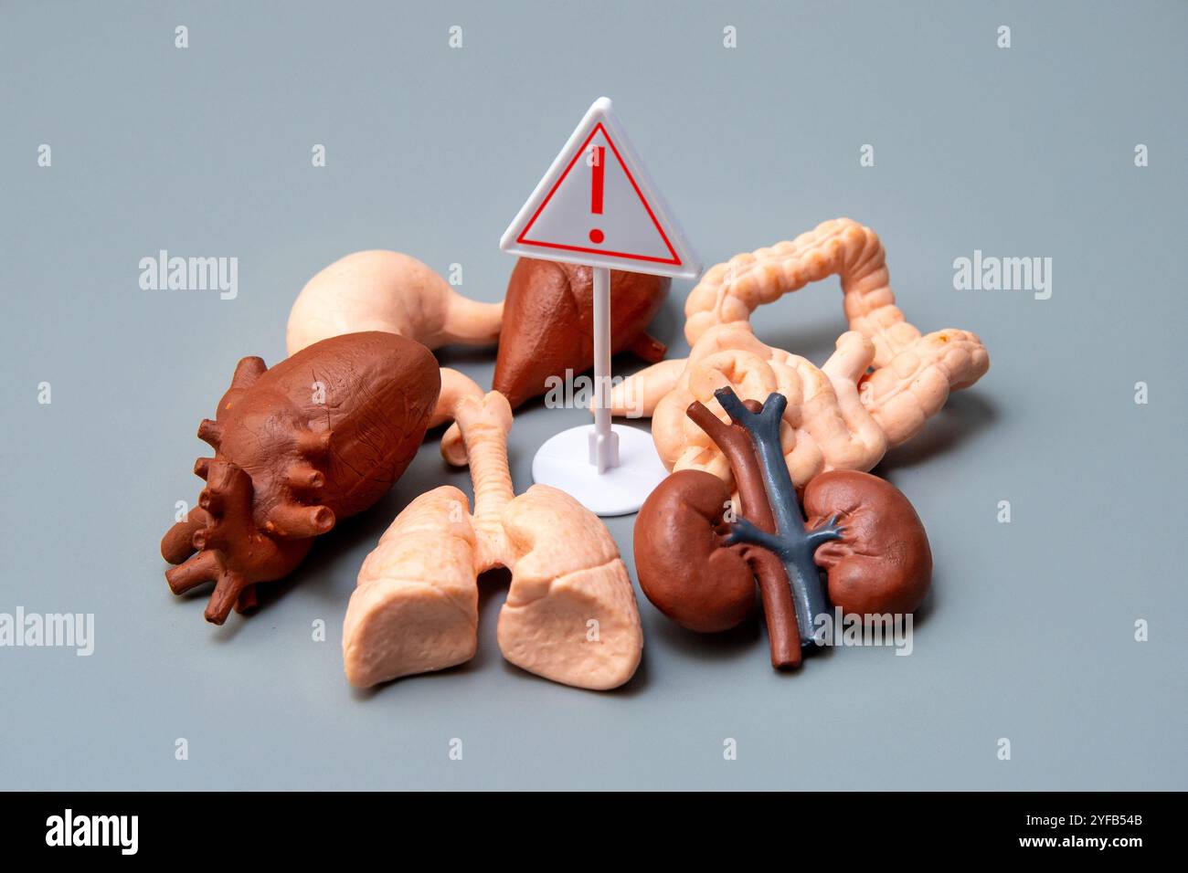 A group of human model organs and warning sign. Organ failure, general ...