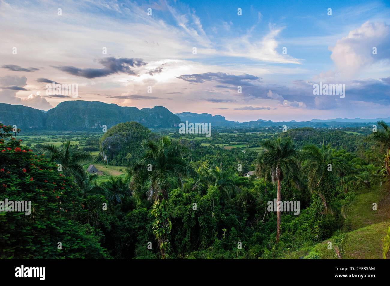 Cuban landscape hi-res stock photography and images - Alamy