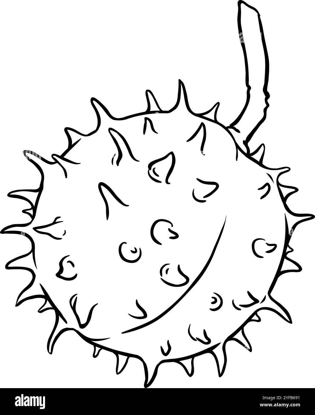 Chestnut Nut Isolated Outline Illustration Stock Vector Image & Art - Alamy