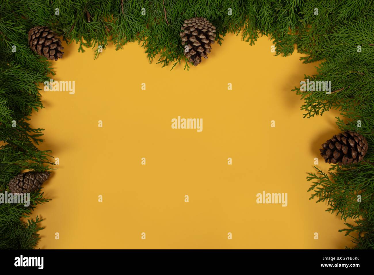 Evergreen Pine Frame - Rustic Winter Woodland Backdrop Stock Photo - Alamy