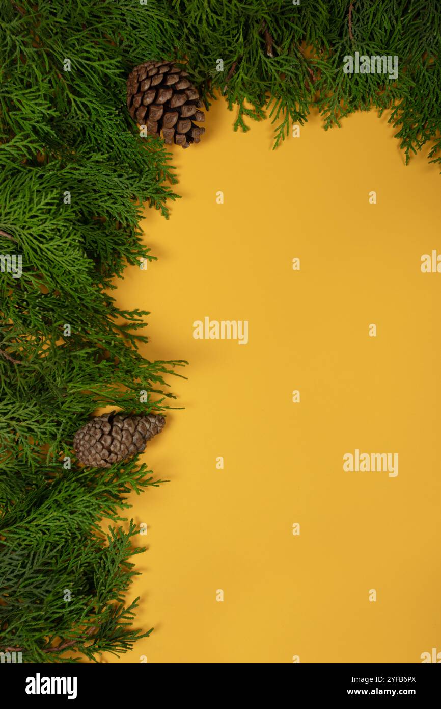 Evergreen Pine Frame - Rustic Winter Woodland Backdrop Stock Photo - Alamy