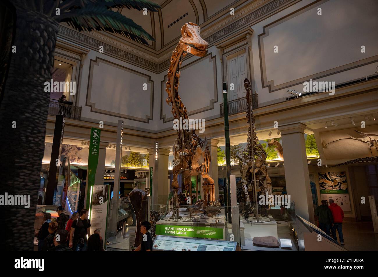 dinosaur scheleton at Smithsonian National Museum of Natural History ...