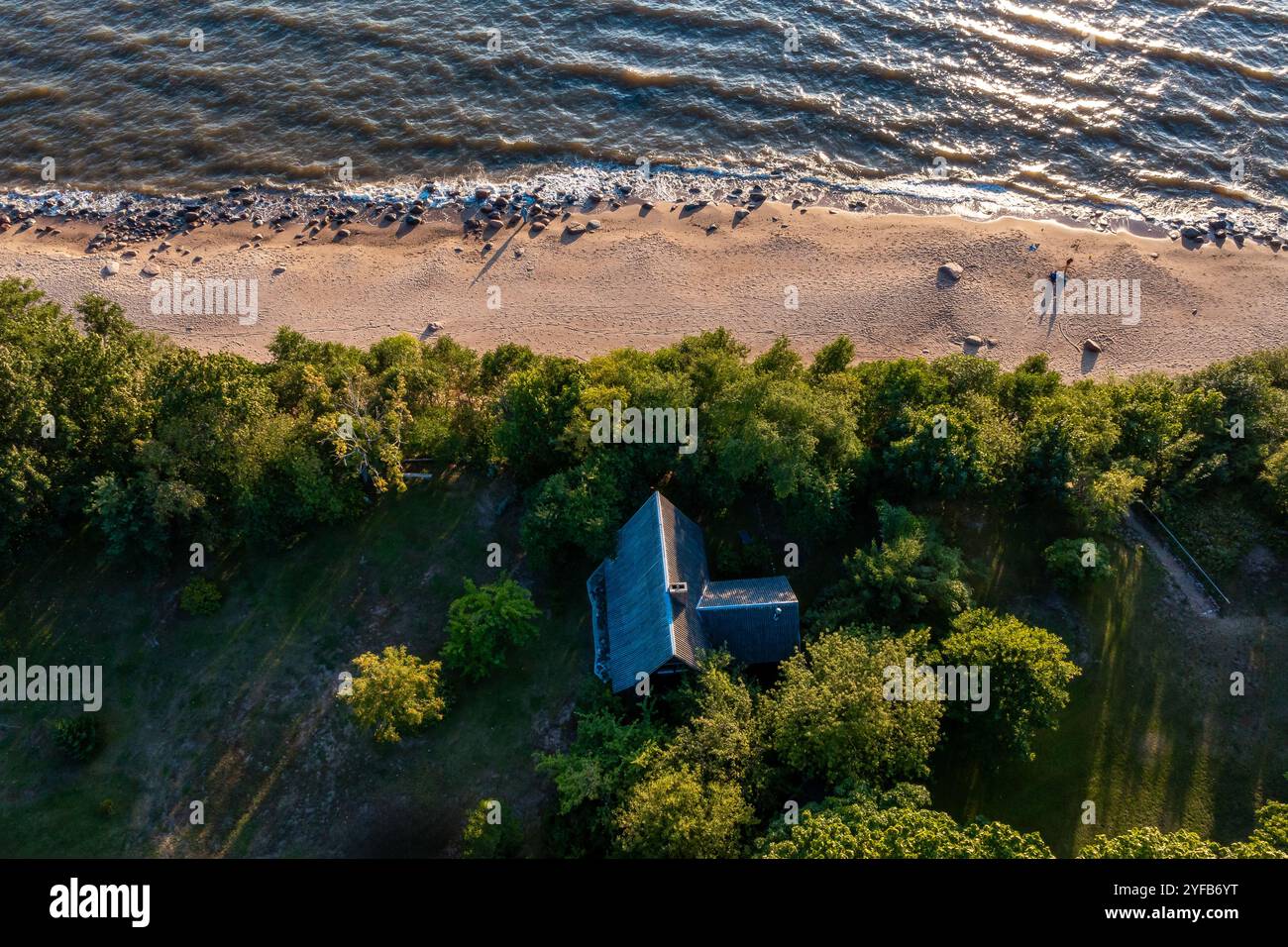 cozy beachside cabin surrounded by dense trees, overlooking the water ...
