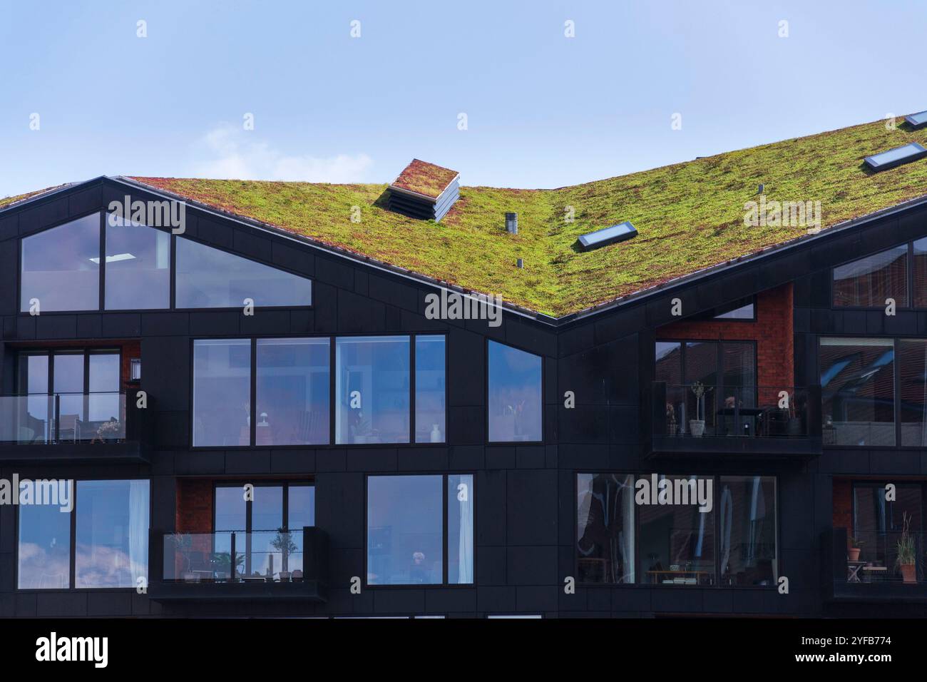 Green ecological sod roof on modern city building covered with ...
