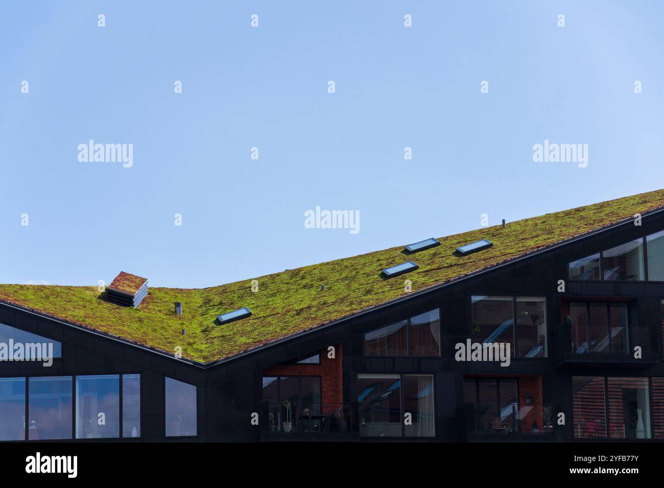 Green ecological sod roof on modern city building covered with ...