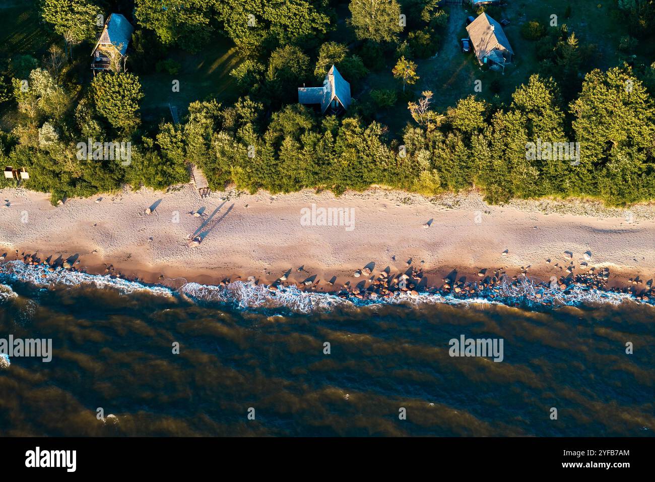 aerial view of a beachside property with dense trees and a sandy ...