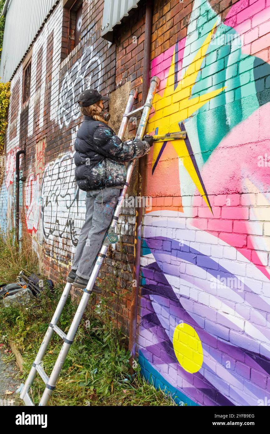 Grace Visions an artist from Sheffield by the Sheffield and Tnsley ...
