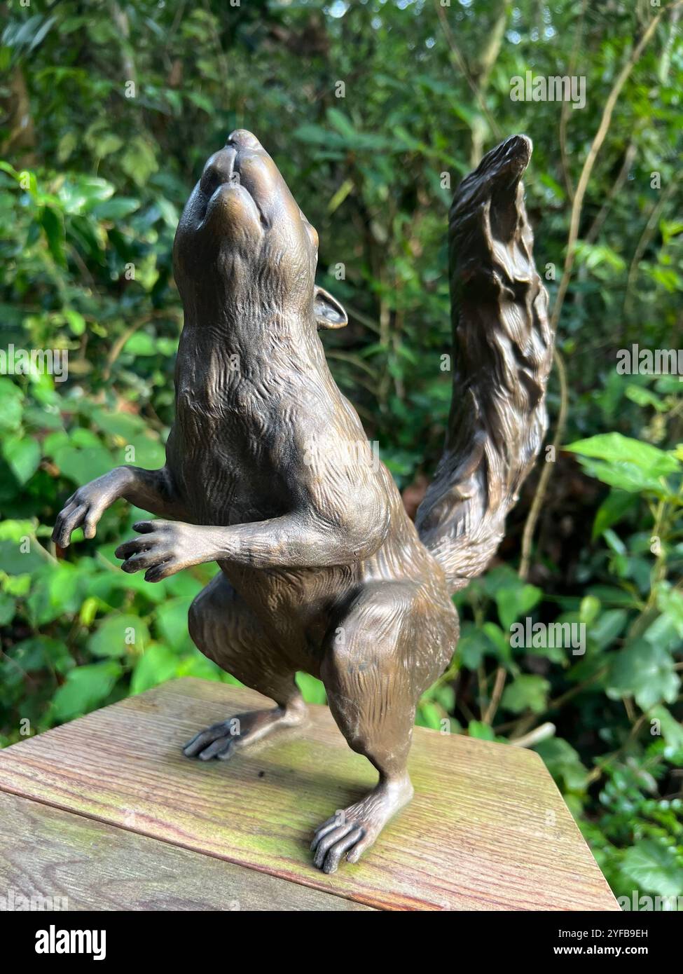 Visual art display installation of cute Plantain Squirrels posture in ...