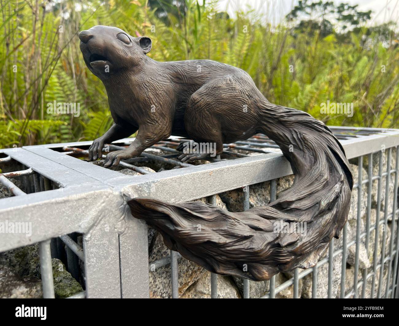 Visual art display installation of cute Plantain Squirrels posture in ...