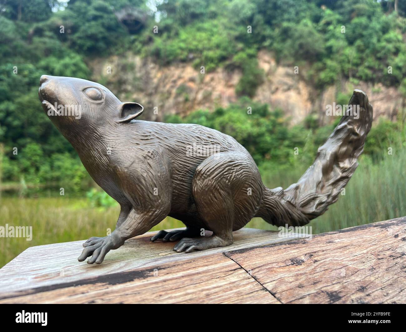 Visual art display installation of cute Plantain Squirrels posture in ...