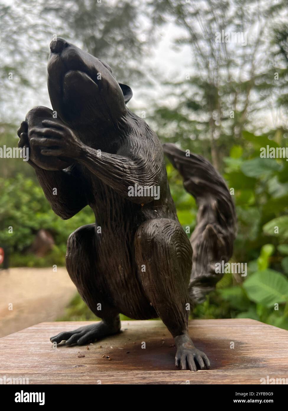 Visual art display installation of cute Plantain Squirrels posture in ...