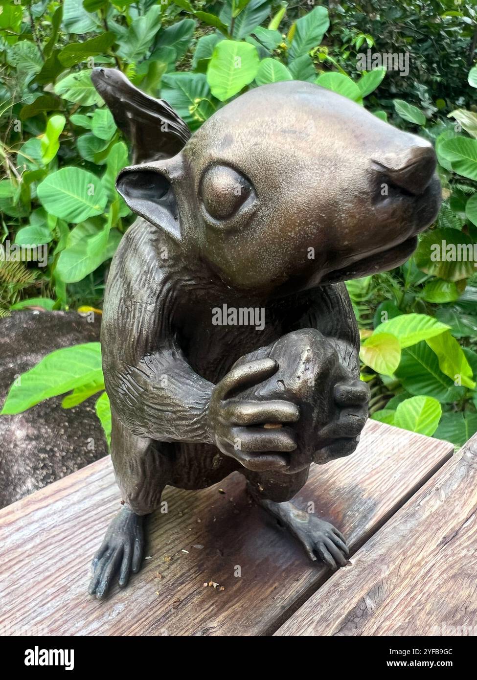 Visual art display installation of cute Plantain Squirrels posture in ...