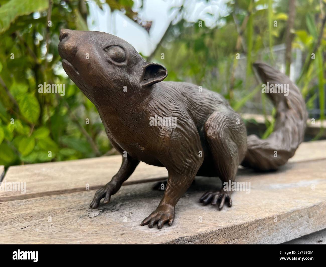 Visual art display installation of cute Plantain Squirrels posture in ...