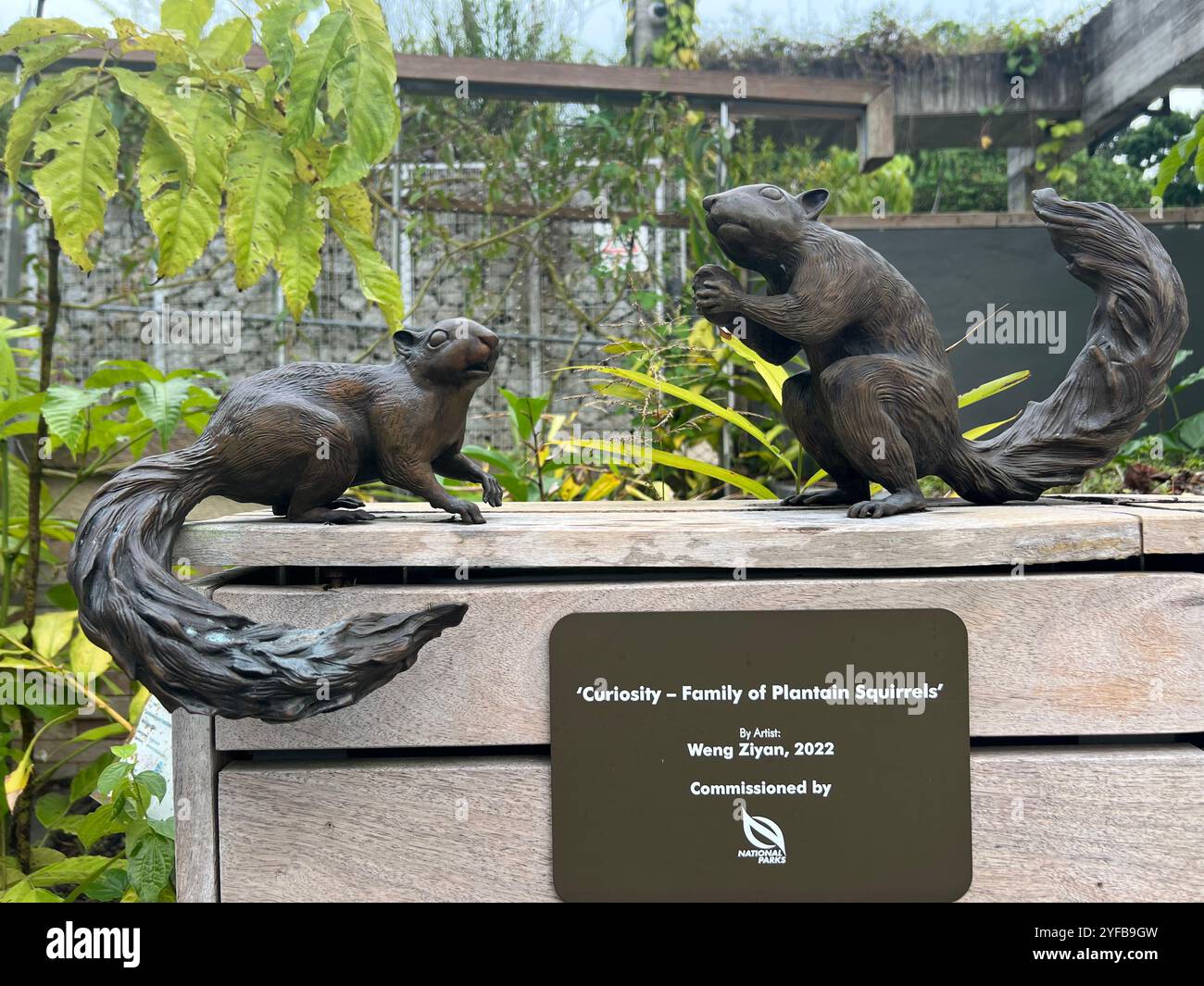 Visual art display installation of cute Plantain Squirrels posture in ...