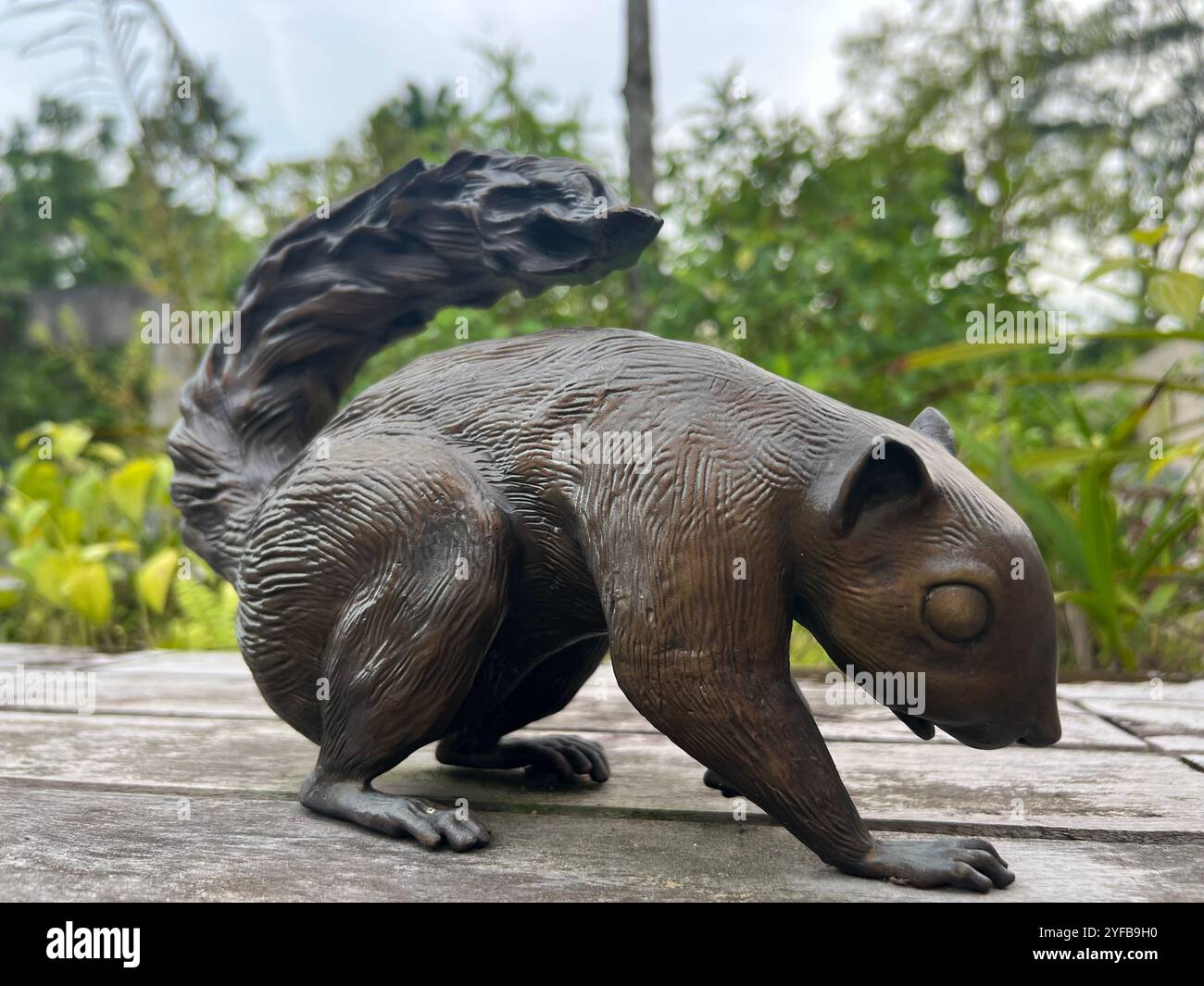 Visual art display installation of cute Plantain Squirrels posture in ...