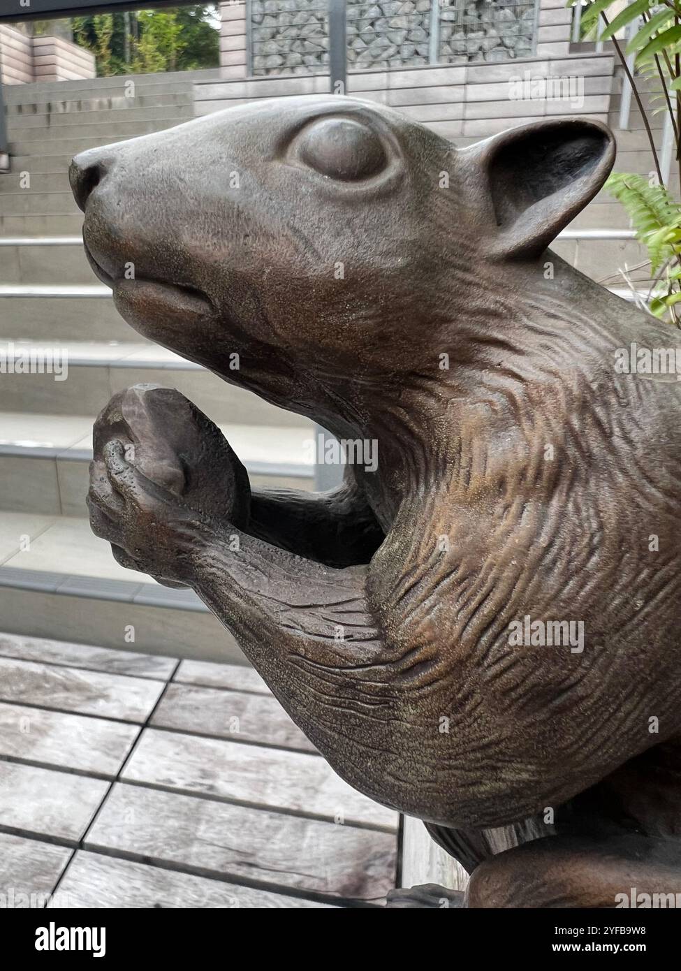 Visual art display installation of cute Plantain Squirrels posture in ...