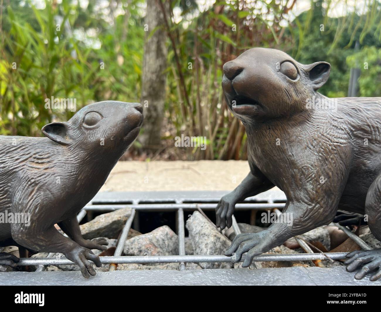 Visual art display installation of cute Plantain Squirrels posture in ...