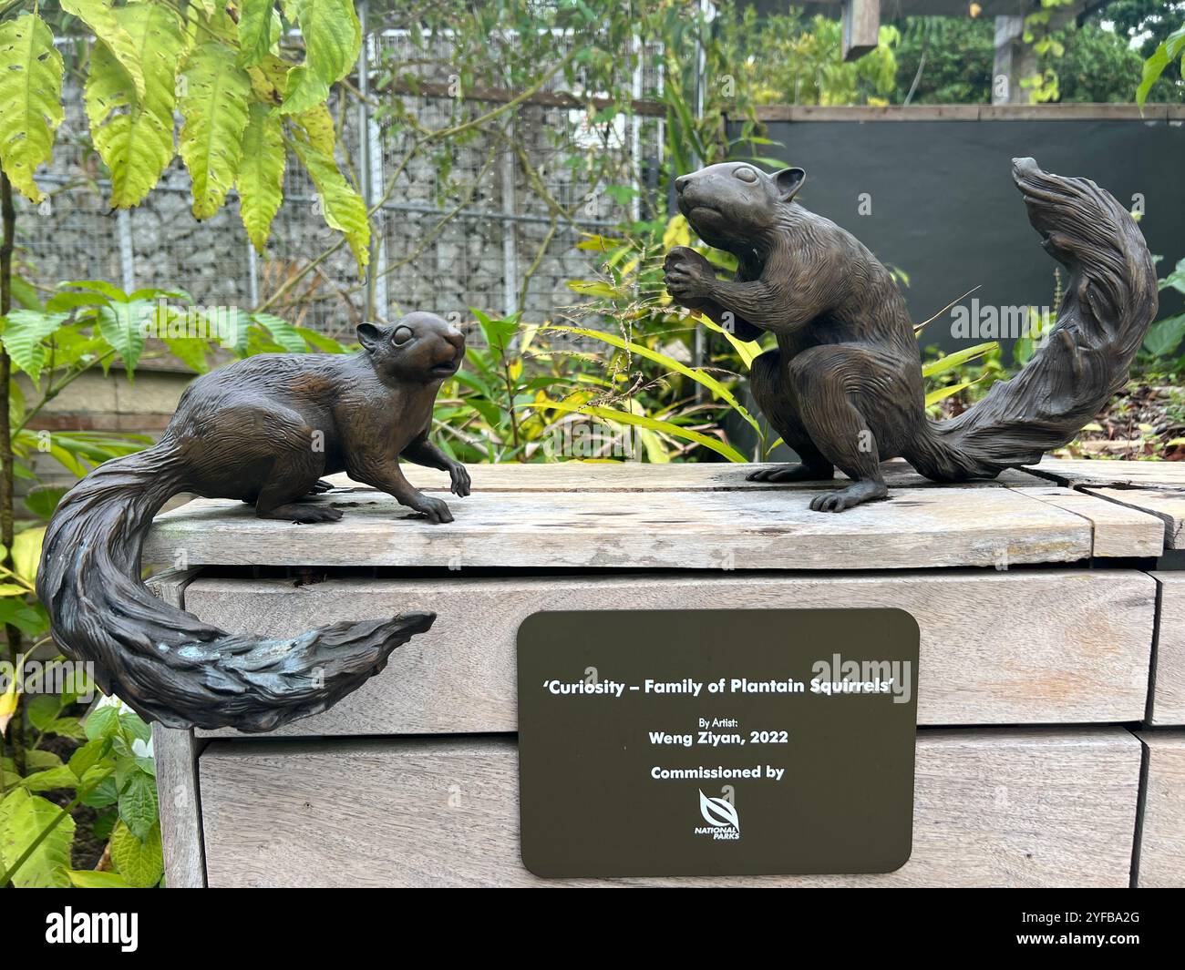 Visual art display installation of cute Plantain Squirrels posture in ...