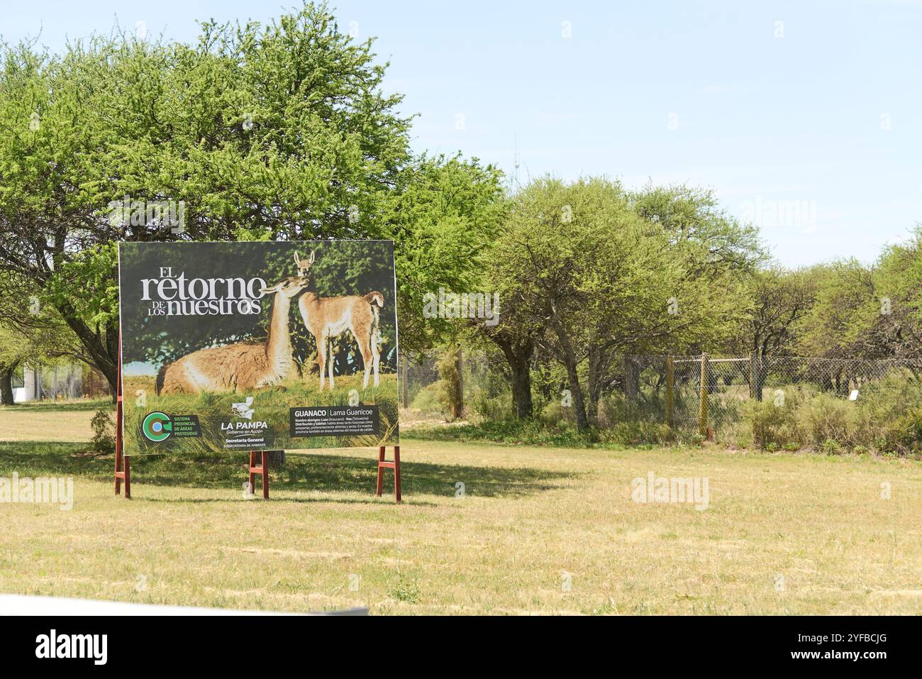La Pampa, Argentina; Nov 20, 2023: Information poster on the guanaco ...