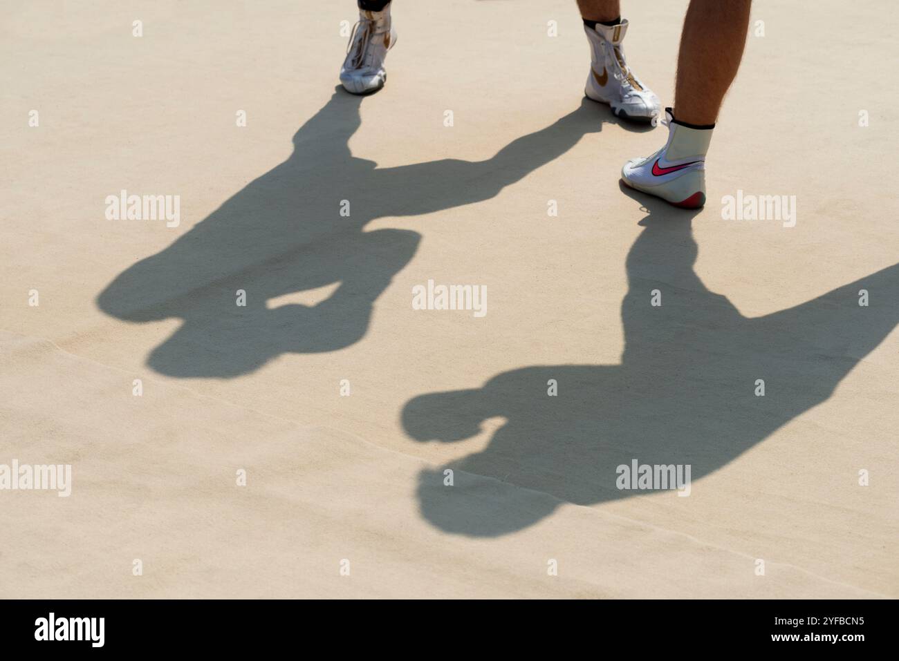 Muscular man training in box hi-res stock photography and images - Alamy