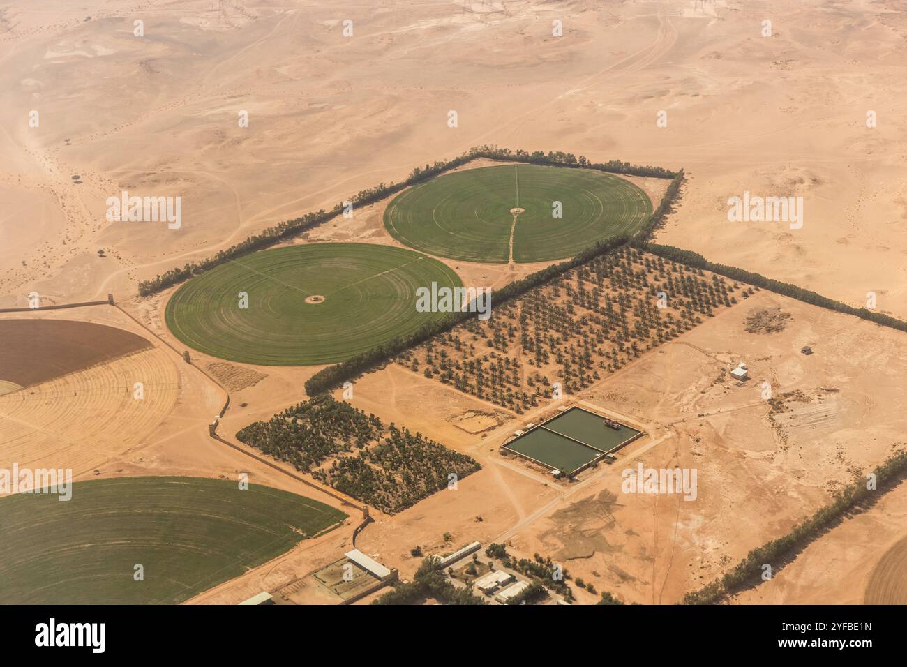 Saudi arabia wheat hi-res stock photography and images - Alamy