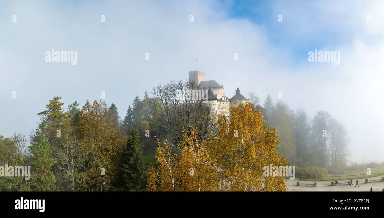 Forest autumn colors drone view hi-res stock photography and images - Alamy