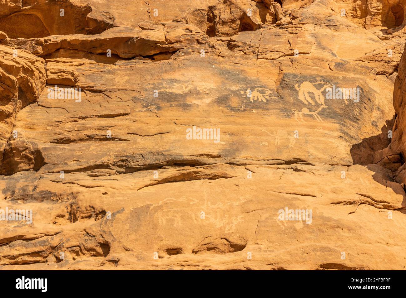 Rock art (petroglyphs) in Jubbah, Saudi Arabia Stock Photo - Alamy