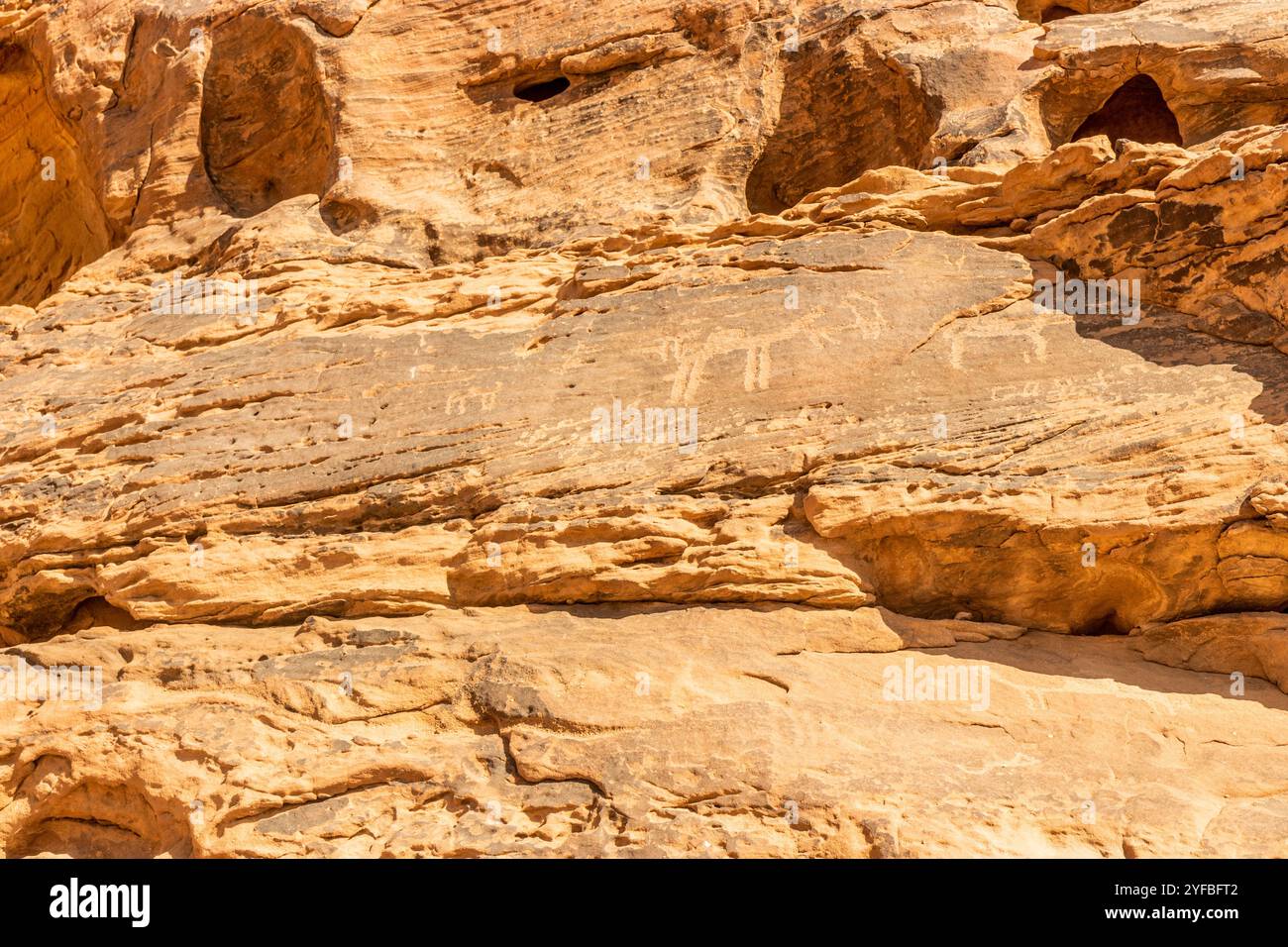 Rock art (petroglyphs) in Jubbah, Saudi Arabia Stock Photo - Alamy