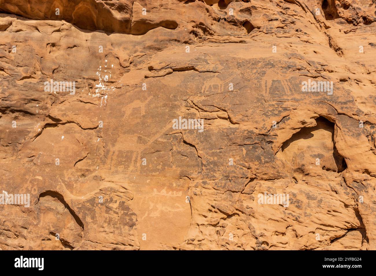 Rock art (petroglyphs) in Jubbah, Saudi Arabia Stock Photo - Alamy