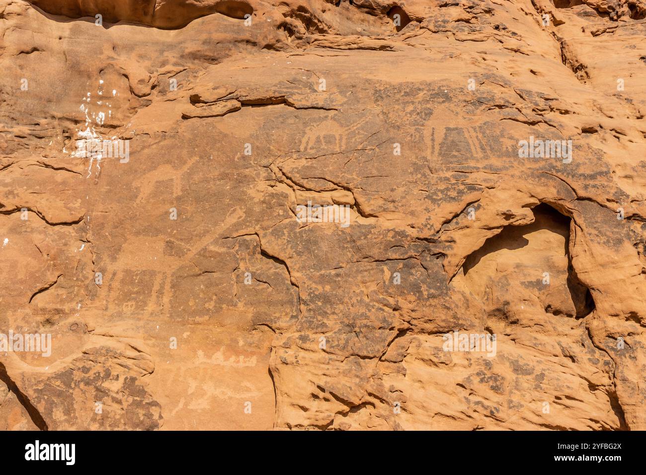 Rock art (petroglyphs) in Jubbah, Saudi Arabia Stock Photo - Alamy
