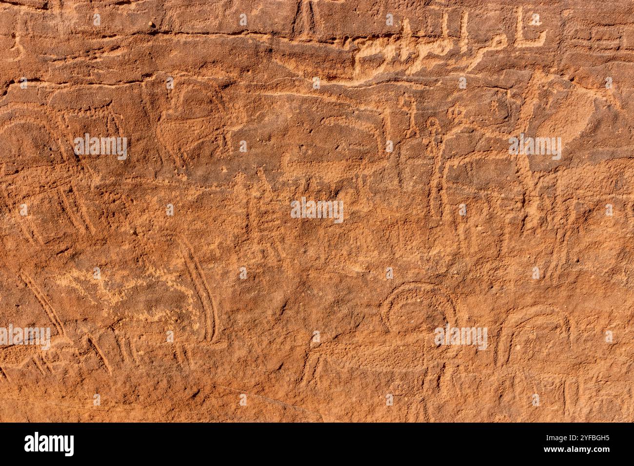 Rock art (petroglyphs) in Jubbah, Saudi Arabia Stock Photo - Alamy