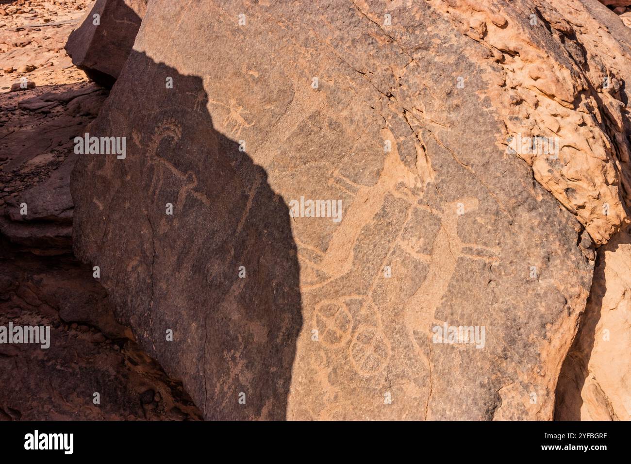 Rock art (petroglyphs) in Jubbah, Saudi Arabia Stock Photo - Alamy