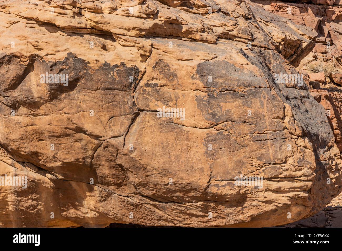 Rock art (petroglyphs) in Jubbah, Saudi Arabia Stock Photo - Alamy