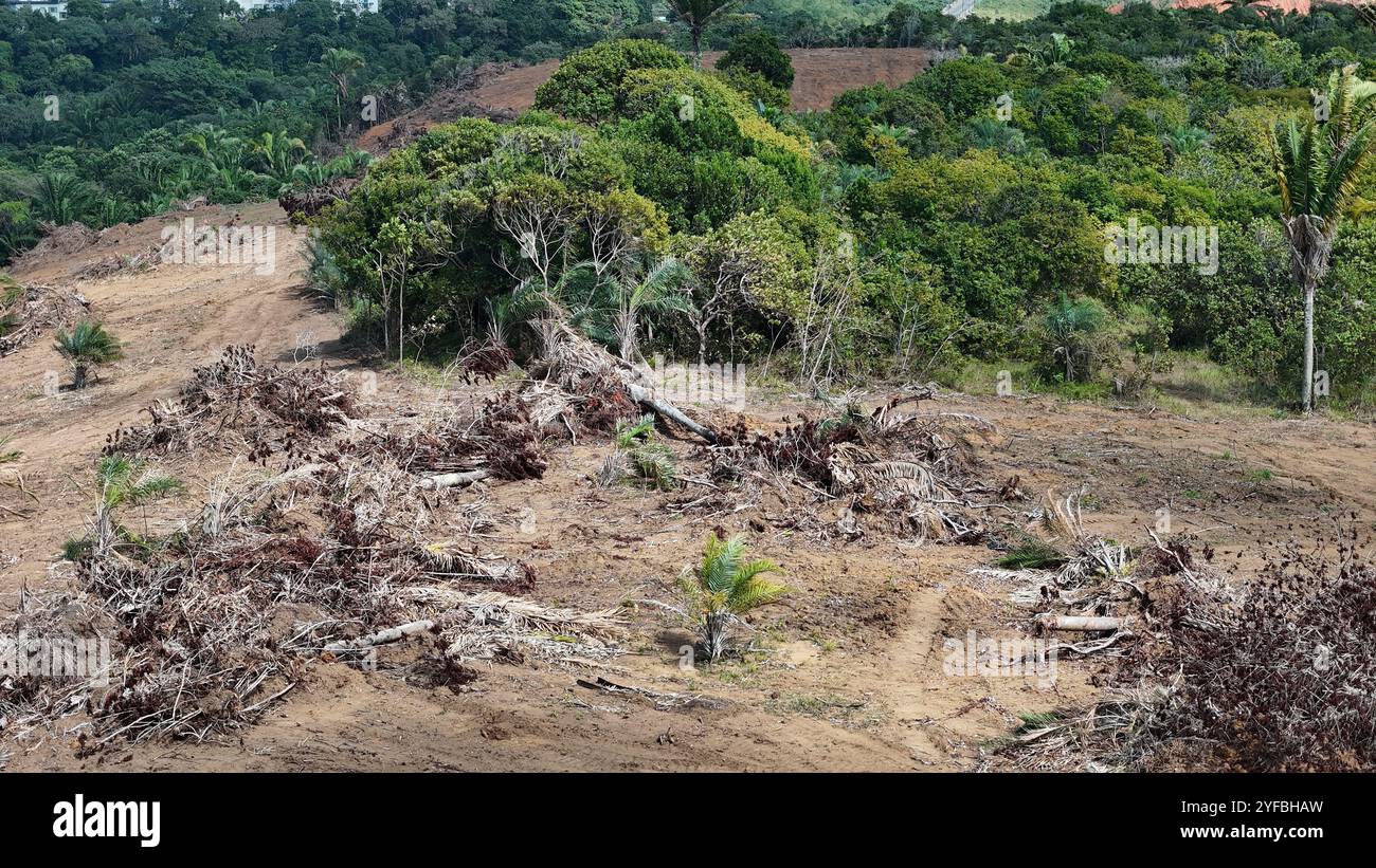 salvador, bahia, brazil - september 2, 2024: deforestation area in ...