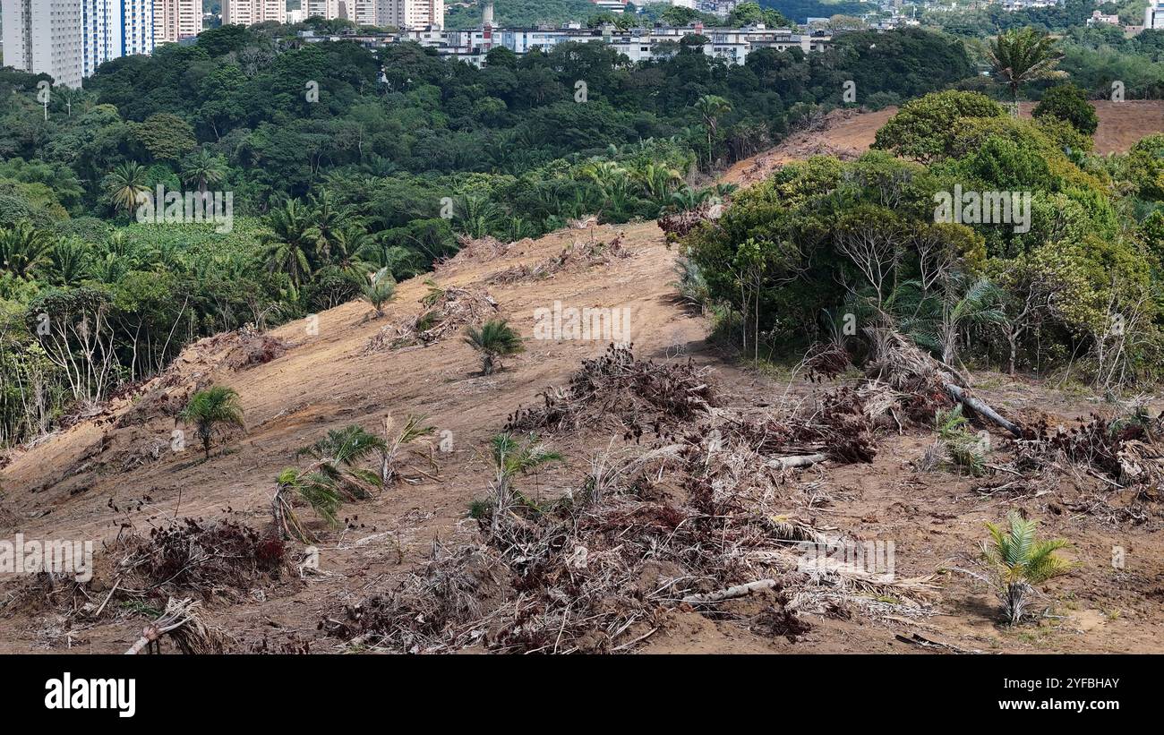 salvador, bahia, brazil - september 2, 2024: deforestation area in ...