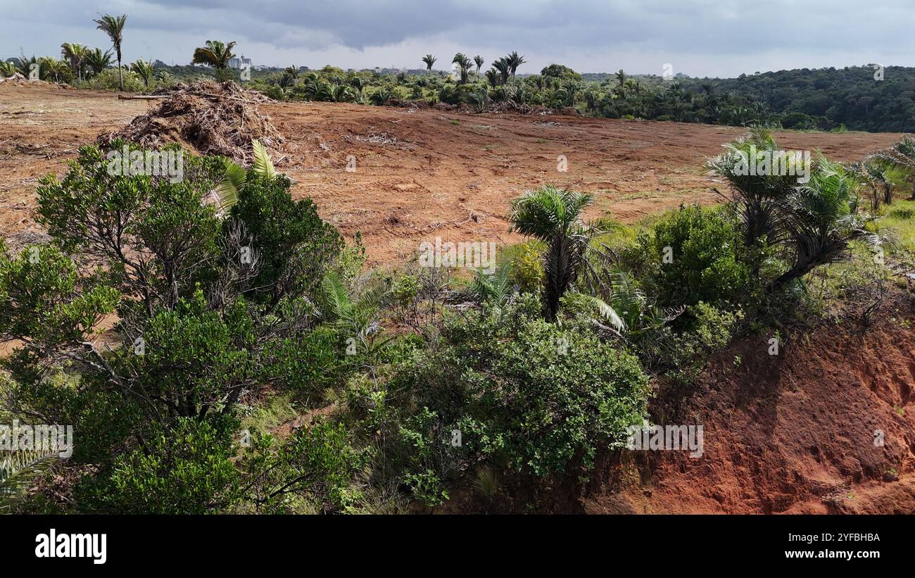 salvador, bahia, brazil - september 2, 2024: deforestation area in ...