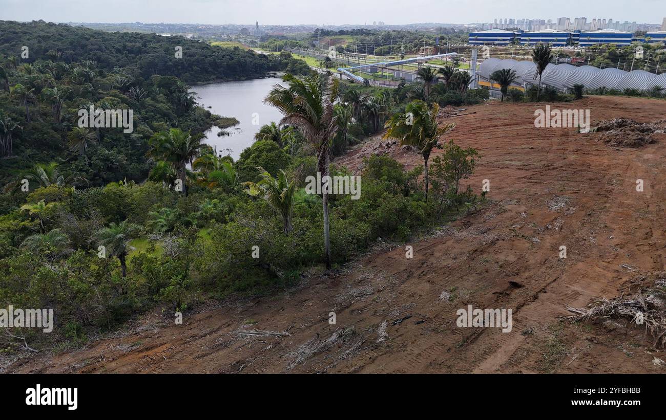 salvador, bahia, brazil - september 2, 2024: deforestation area in ...