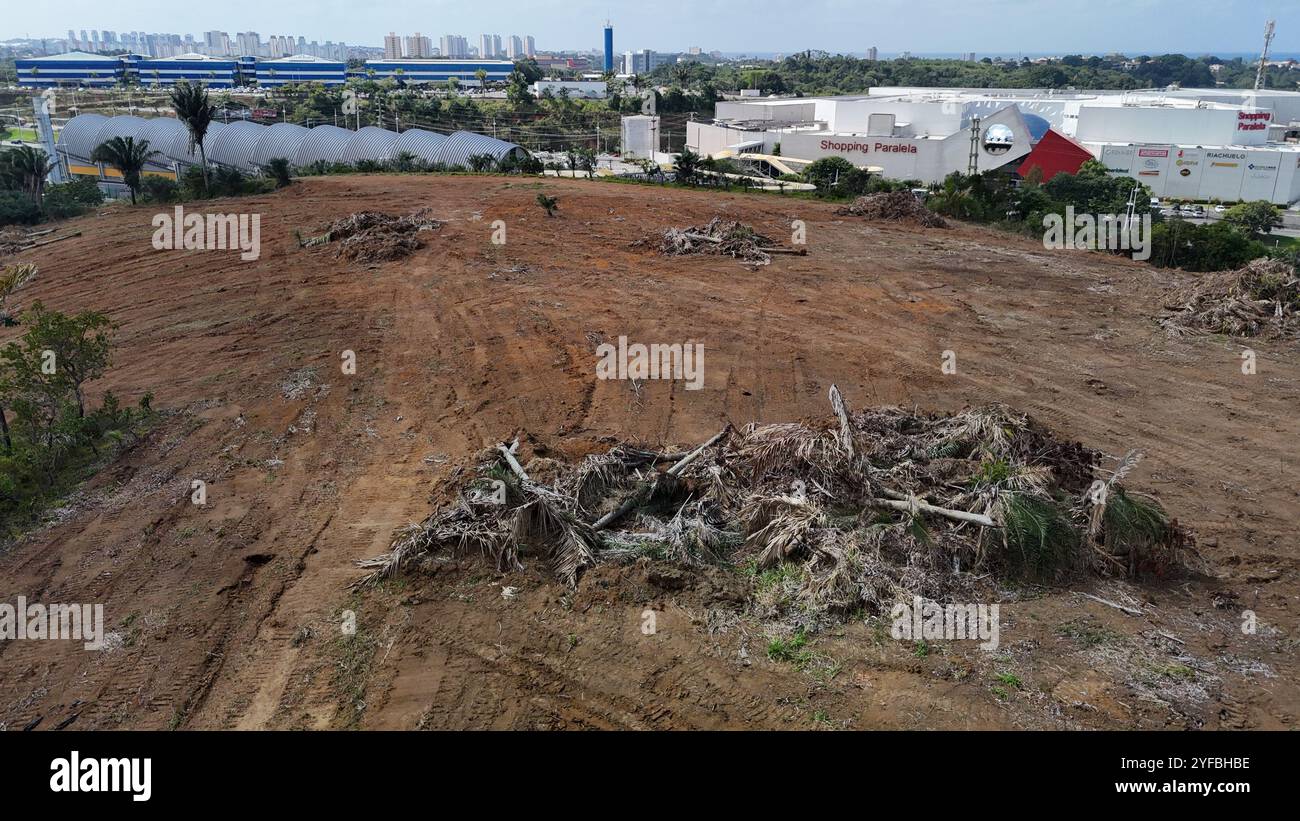 salvador, bahia, brazil - september 2, 2024: deforestation area in ...